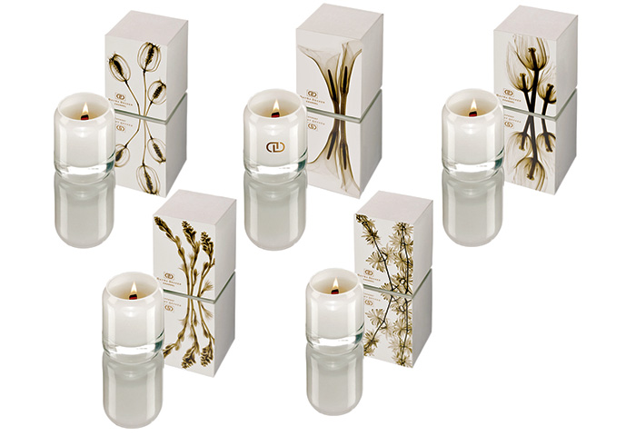 Print Design – SeenDesigns